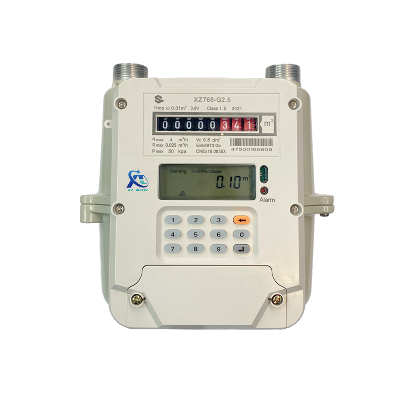 Integrated type prepaid gas meter - 我的网站